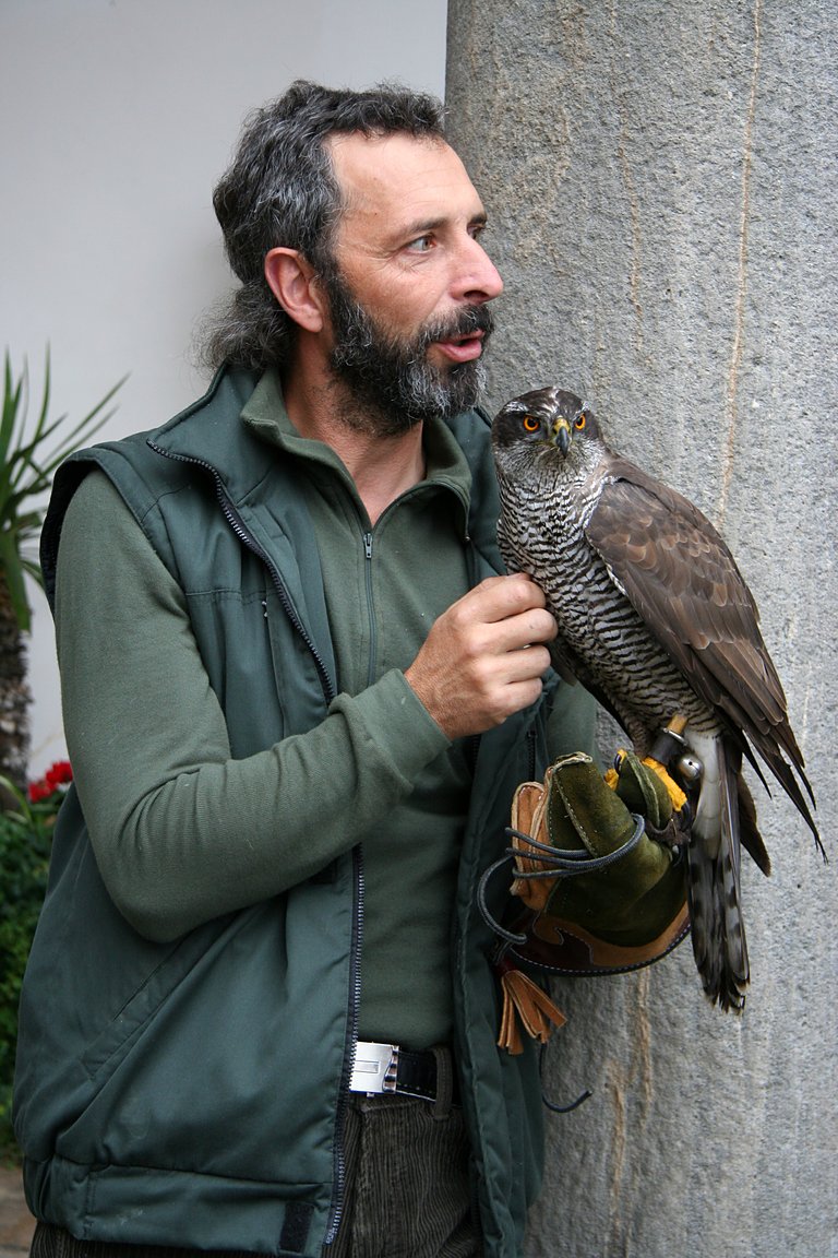 Falconry in the Czech Republic | Tres Bohemes
