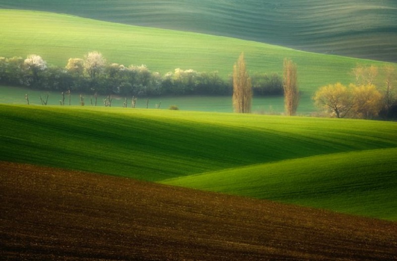 Landscapes of Southern Moravia Between Kyjov, Archlebov and Šardice
