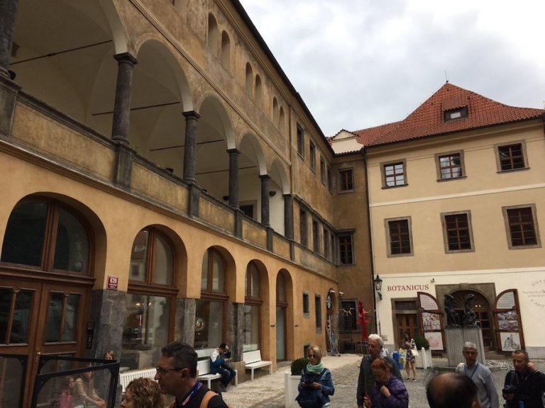 Botanicus, A Czech Based Natural Beauty Brand | Tres Bohemes