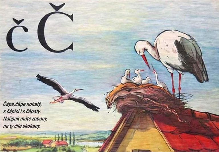 Learning About the Czech Alphabet | Tres Bohemes