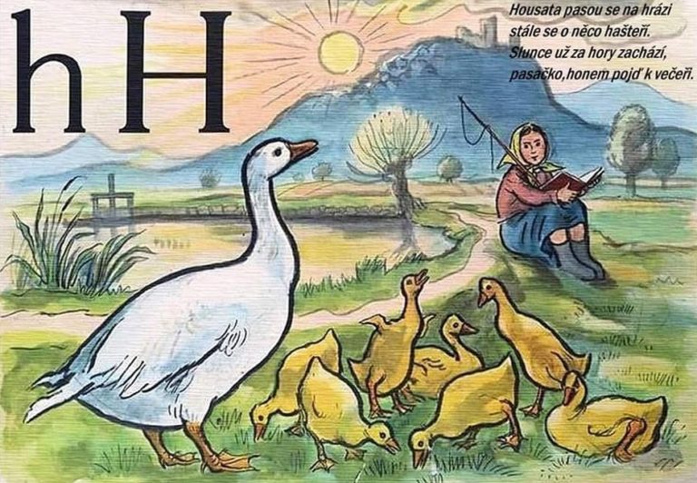 Learning About the Czech Alphabet | Everything Czech | by Tres Bohemes