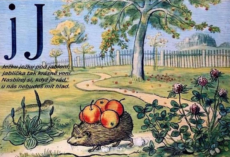 Learning About the Czech Alphabet | Tres Bohemes