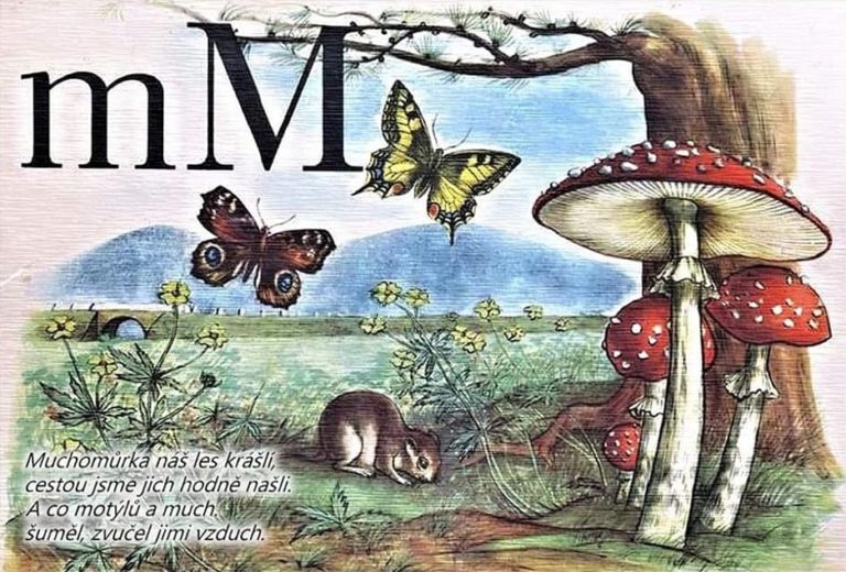 Learning About the Czech Alphabet | Tres Bohemes