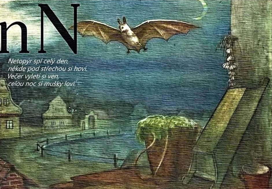 Learning About the Czech Alphabet | Tres Bohemes