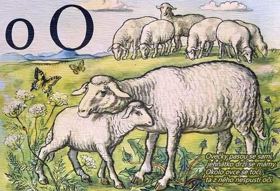 Learning About the Czech Alphabet | Tres Bohemes