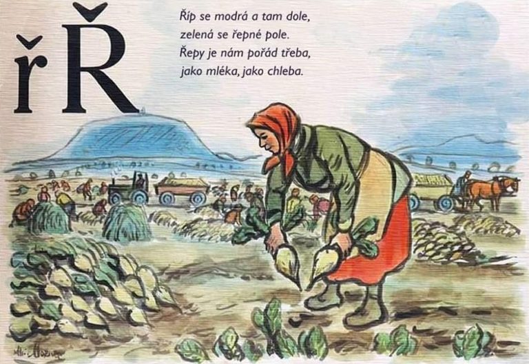 Learning About the Czech Alphabet | Tres Bohemes