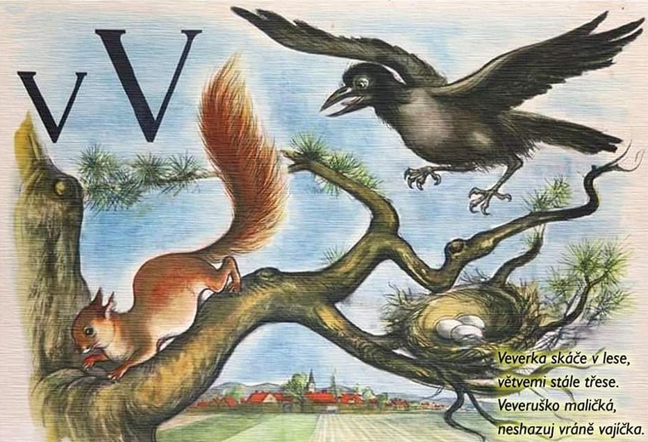 Learning About the Czech Alphabet | Tres Bohemes