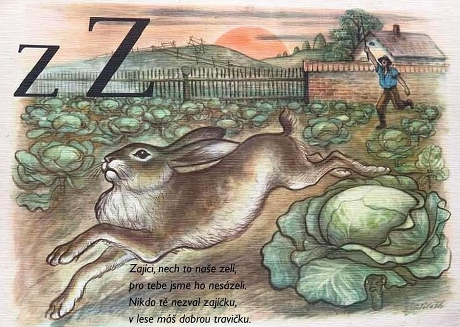 Learning About the Czech Alphabet | Tres Bohemes