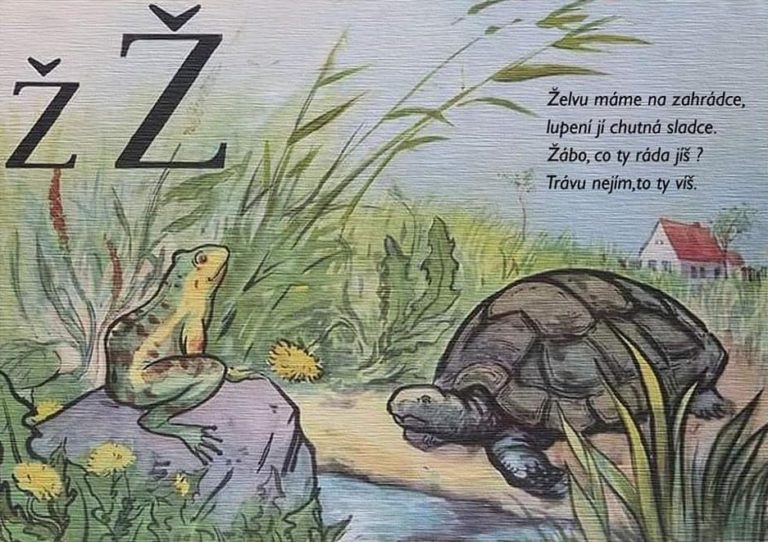 Learning About the Czech Alphabet | Tres Bohemes